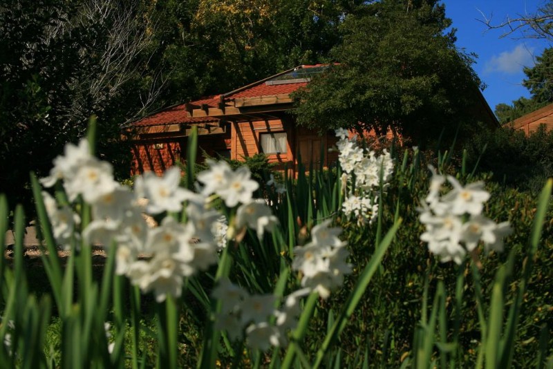 Zohar Badeshe Resort on Kibbutz Dalia | Secret Tel Aviv